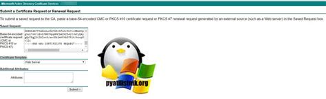Выпуск Wildcard сертификата в Windows Certification Authority Настройка серверов Windows и Linux