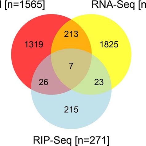 Venn Diagram Of Rna Seq Rip Seq And Biogrid Reported Elavl1 Target Download Scientific