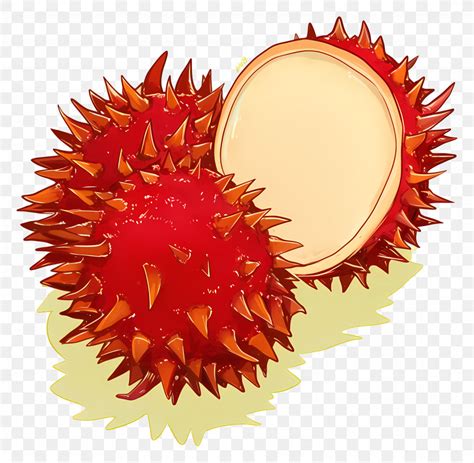 Rambutan Red Spiky Fruit Cartoon Illustration Png 3536x3460px