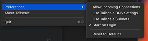 Unexpected Dns Over Queries For `localhost` · Issue 7556