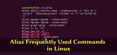 Useful Host Command Examples For Querying Dns Lookups