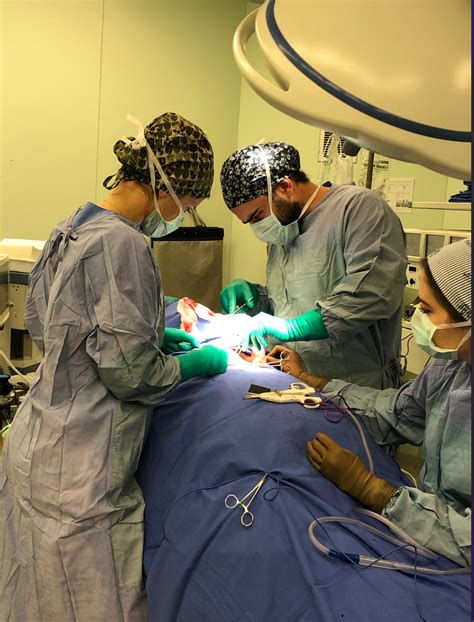 Femoral Hernia Symptoms Diagnosis Treatment