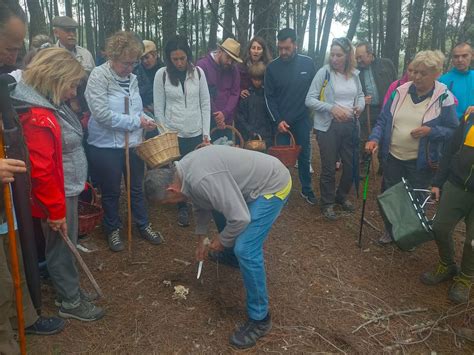 En Busca De Setas En Robleda La Gaceta De Salamanca
