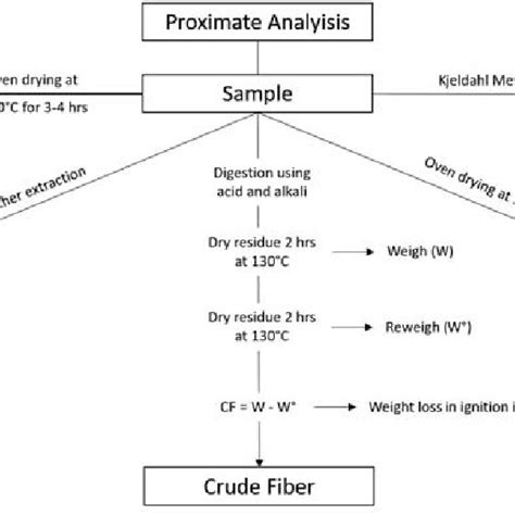 Proximate Analyusis Procedures Download Scientific Diagram Proximate Analyusis Procedures Download Scientific Diagram