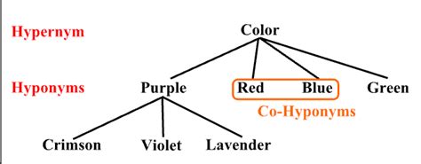 nltk wordnet and synset nltk wordnet and synset how it is… by park