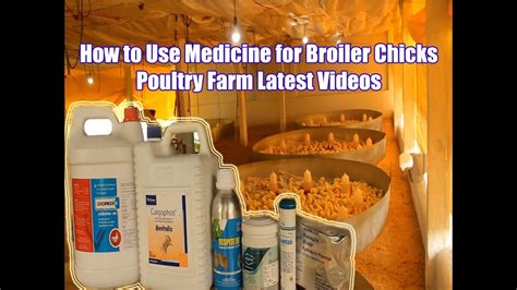 How To Use Medicine For Broiler Chickens Poultry Farm Vaccine Latest Videos Youtube
