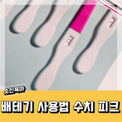 배테기 사용법 배란테스트기 피크 수치 시간 임신 확인 방법 네이버 블로그