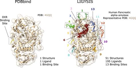 Comparison Of Pdbbind And Ligysis Pdbbind Is Comprised By Complexes