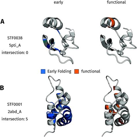 Characteristics Of Efr And Functional Residues Efr Dark Blue And Lfr