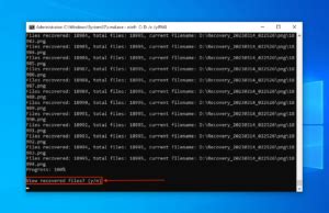 How To Recover Permanently Deleted Files On Windows Without Software