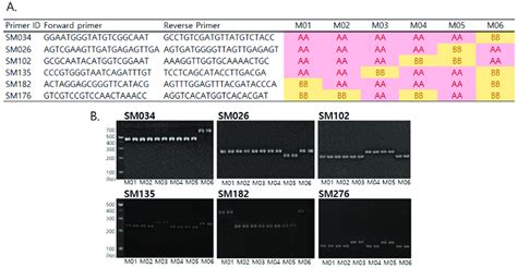 Minimum Indel Marker Set For Fingerprinting The Six Selected Accessions Download Scientific