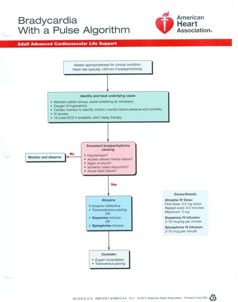 Acls Algorithms Pdf