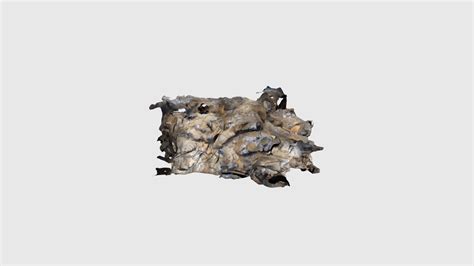 La Roquette Section Pour Assemblage 2 Download Free 3d Model By Laurentbruxelles [a935e47