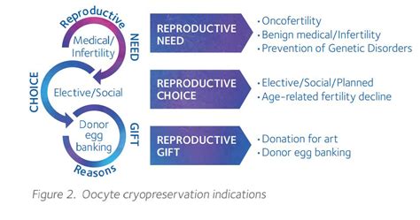 Art Scientific Newsletter The Big Freeze Latest Trends In Oocyte Vitrification Coopersurgical