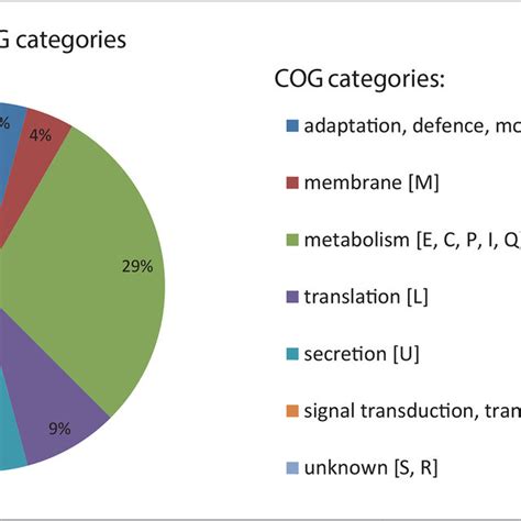 Cog Categories Of Non Synonymous Snp Differences Found Between S1