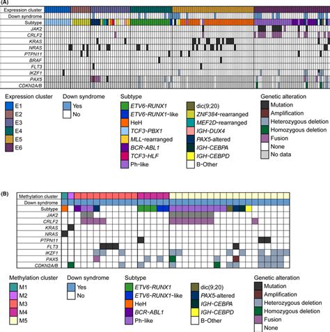 Relations Of Gene Expression Dna Methylation And Genomic Status A Download Scientific