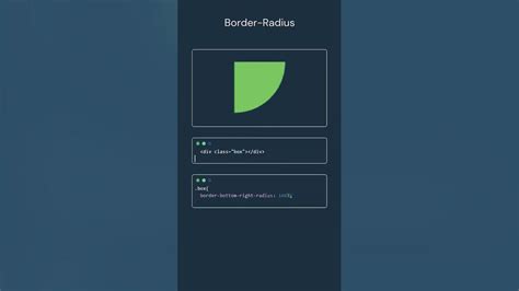 Css Border Radius Css3 Webdesign Borderradius Webdevelopment Programming Coding Shorts
