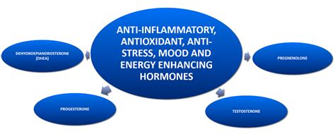 Why Stress Causes Fatigue And How To Overcome Stress The Energy Blueprint