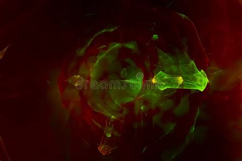 Motion Fractal Shape Fantastic Dynamic Explosion Pattern Power