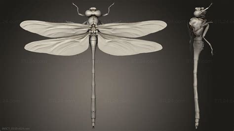 Insects Insects Beetle Insct 0110 3d Stl Model For Cnc