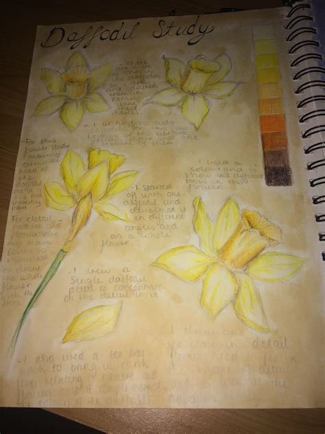 Art GCSE Work Art Painting Study