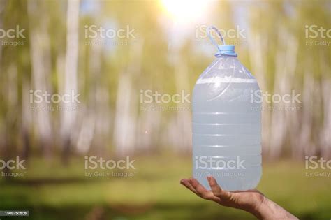 자작나무 숲을 배경으로 플라스틱 병에 담긴 자작나무 수액 0명에 대한 스톡 사진 및 기타 이미지 0명 4월 건강관리와 의술 Istock