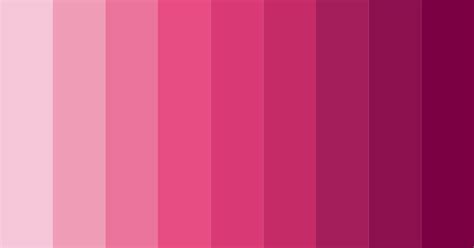 Raspberry Reverie Color Palette Colordrop