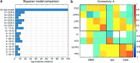 The Figure Summarizes Effective Connectivity Results From The