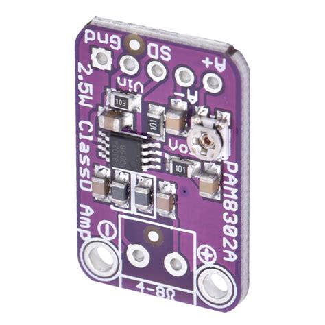 PAM W Single Channel Class D Amplifier