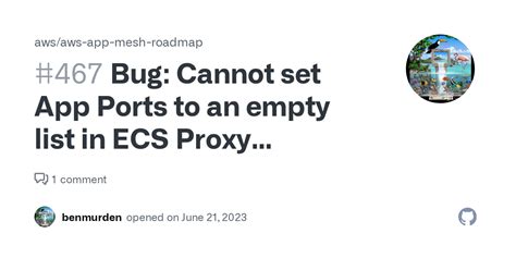 Bug Cannot Set App Ports To An Empty List In ECS Proxy Configuration Issue Aws Aws App