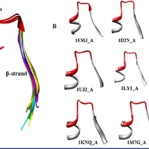 PDF Role Of Highly Central Residues Of P Loop And It S Flanking Region In Preserving The