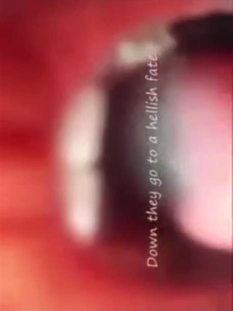 Mouth Fetish Vore Thisvid Com