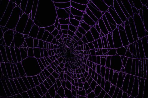 Color Spiderweb Art Gothic Goth Abandoned Vector Gothic Goth
