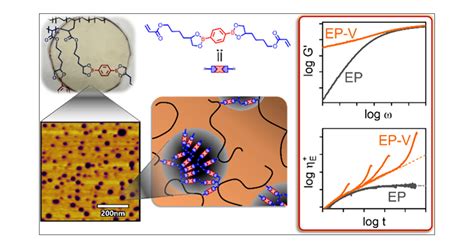 Microstructure Viscoelasticity And Extensional Rheology Of Ethylenepropylene Copolymer