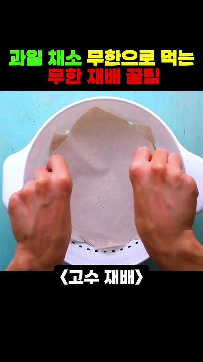 집에서 과일 채소 무한 재배하는 방법 Youtube