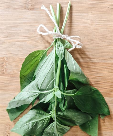 How To Dry Basil Easy Steps For Delicious Herbs At Home Real Homes