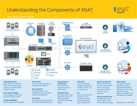 Understanding The Components Of Xnat Understanding The Components Of Xnat
