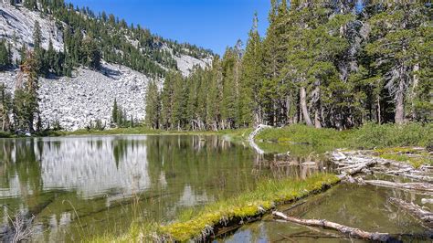 How A National Park Bounced Back After Californias Biggest Fire