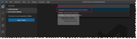 How To Setup Visual Studio Code For Salesforce Development