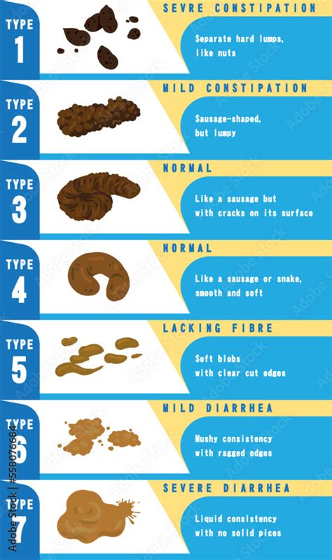 Bristol Stool Chart With Faesces Type Classification Vector