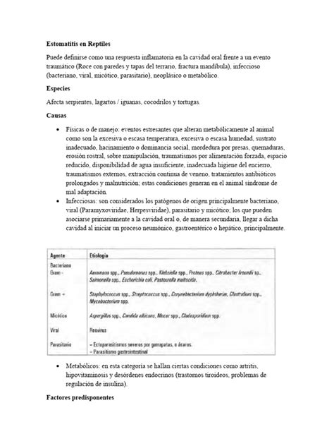 Estomatitis En Reptiles Pdf Boca Membrana Mucosa