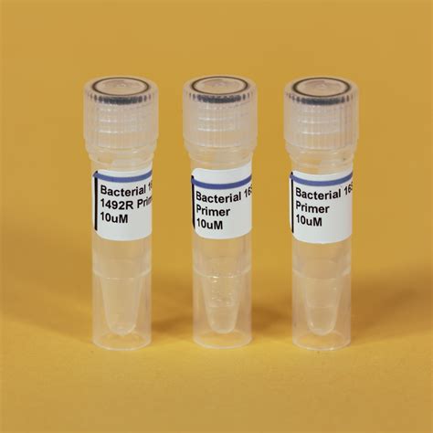 Bacterial 16s Rdna Primers For Bacterial Identification The Odin