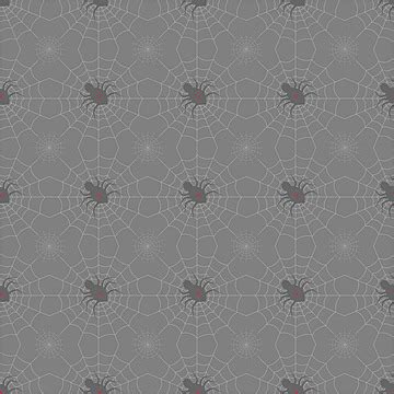 Spider Web Pattern Vector Art PNG Images Free Download On Pngtree