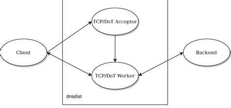 Performance Tuning Dnsdist Documentation