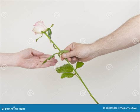 Hand Of A Man Giving A Rose To A Hand Of A Woman With Love Against A