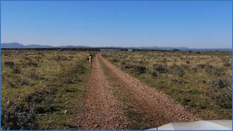 Naked Strolling On Open Road