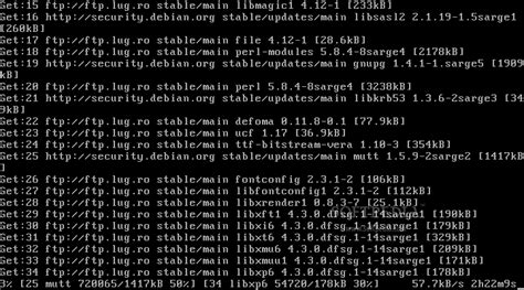 Debian Installation Guide