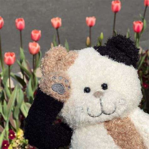 Xinyue LIU Faculty Of Agriculture Research Profile