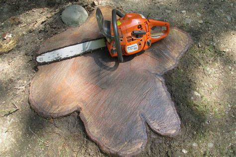 Project Gallery Tree Removal Pruning Management Arborist Services