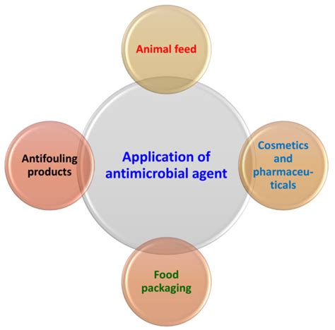 A Comprehensive Review On Significance And Advancements Of Antimicrobial Agents In Biodegradable